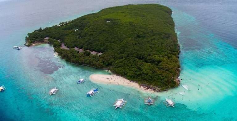 Oslob Whale Shark Watching + Sumilon Island Day Tour | Island Trek Tours