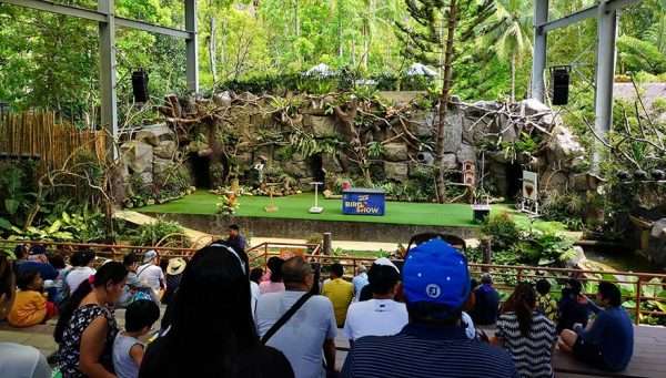 Cebu Safari and Adventure Tour Package | Island Trek Tours
